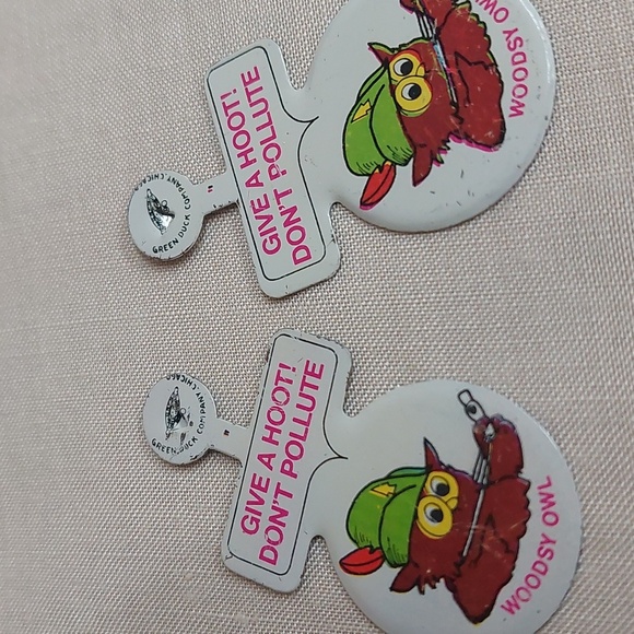 unbranded | Jewelry | 2 Old Woodsy Owl Give A Hoot Dont Pollute Pins ...